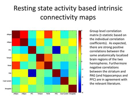 Ppt Resting State Functional Connectivity Mri In Isoflurane
