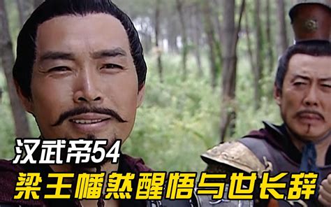 梁王刘武因病去世，汉景帝追封他为梁孝王，刘彻又少了一大隐患 真江心影视解说 真江心影视解说 哔哩哔哩视频