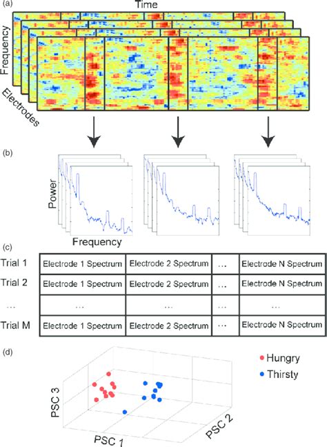 Using Frequency Domain Structure To Decode Simultaneously From Multiple Download Scientific