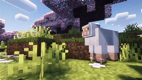 Спавн на сервере Vanilla Plus Vanilla Plus Ru постройки и локации C разных серверов