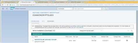 Sap Router Installation On Windows Buddysap