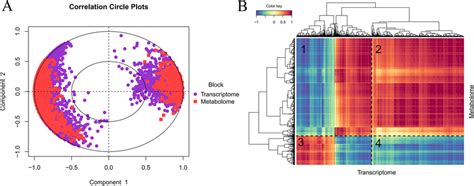 Combined Analysis Of The Metabolome And Transcriptome Between The Ck