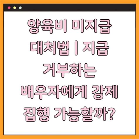양육비 미지급 대처법 지급 거부하는 배우자에게 강제 집행 가능할까