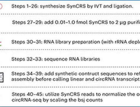 Scbn A Statistical Normalization Method And Differential Expression