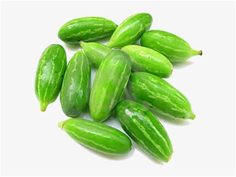 Ivy Gourd 600x600 Png Download Pngkit