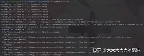 服务器运行megatronlm代码与踩坑记录 知乎