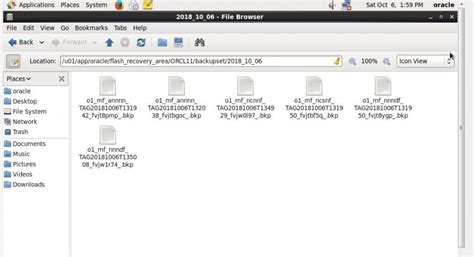 How To Take RMAN Backup Backup Using Command Prompt Pkworlz