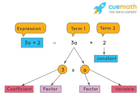 What Is Term In Maths Key Examples Explained
