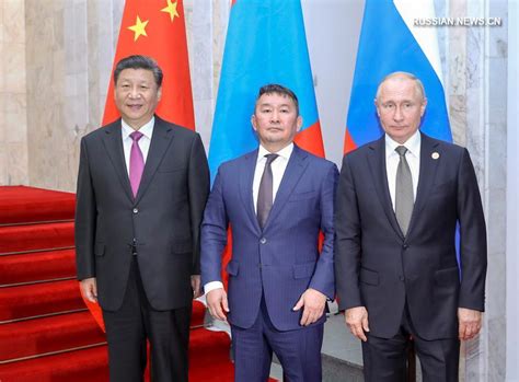 Си Цзиньпин принял участие в 5 й встрече руководителей Китая России и