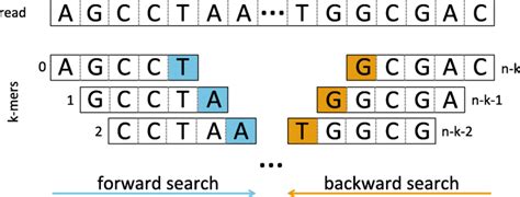 Illustration Of The Forward And Backward Search To Correct Sequencing