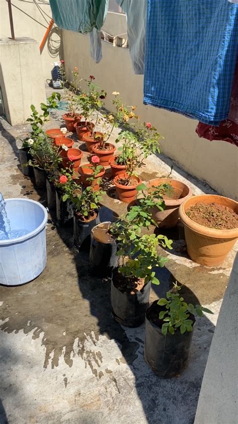 Sravan Kumar Pidugu Pidugusravankumar • Instagram Photos And Videos