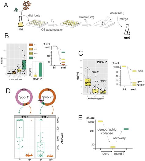 Experimental Test Of The Eco Evolutionary Feedback A An Initial