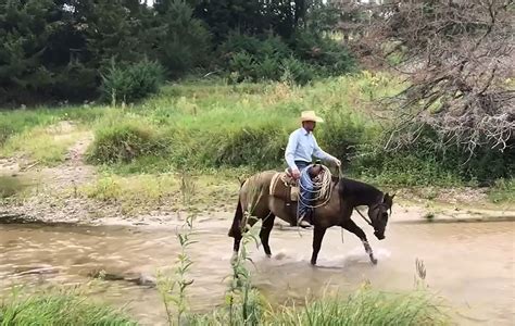 Lazy JS Ranch Performance