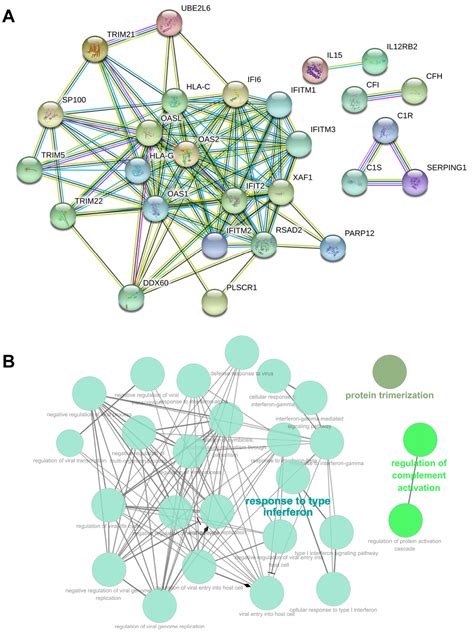 characterization of long non coding rna and messenger rna profiles in