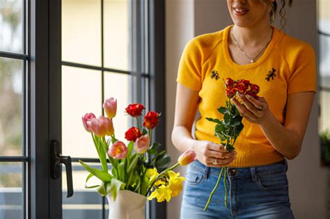 다른 꽃과 함께 꽃병에 정리하고 있는 귀여운 장미를 들고 있는 젊은 여자 20 29세에 대한 스톡 사진 및 기타 이미지 20 29세 25 29세 가정의 방 Istock