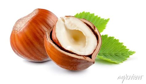 Hazelnut With Leaf Isolate Hazelnut Peeled And Unpeeled With • Wall
