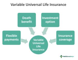 Variable Universal Life Insurance VUL Meaning Pros Cons