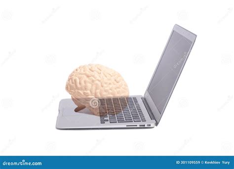 Human Brain Anatomical Model On Laptop Stock Image Image Of Idea Computer 301109559