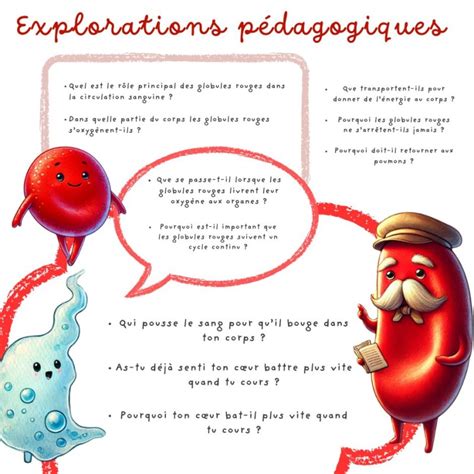Globules Rouges Circulation Sanguine Cardio