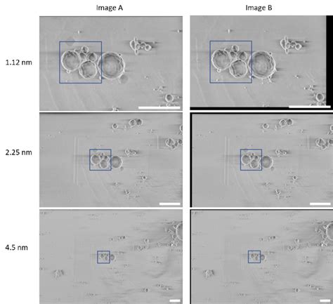 Calibration Dataset Of Polystyrene Beads Used To Calculate The Download Scientific Diagram