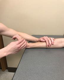 Wrist MMT Flashcards Quizlet