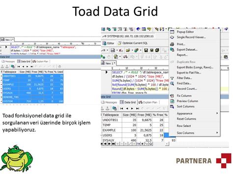 erman arslan s oracle blog oracle database