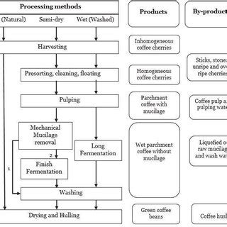 PDF The Harvest And Post Harvest Management Practices Impact On