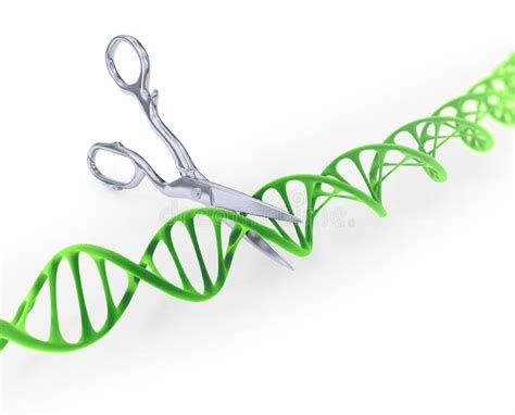 Cutting Dna Stock Illustration Illustration Of Clone 65409805