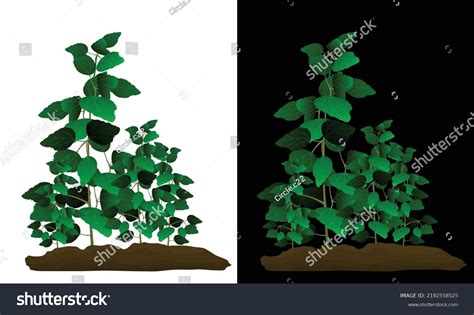 Flower Tree Vector Illustration Designs Stock Vector Royalty Free 2192558525 Shutterstock