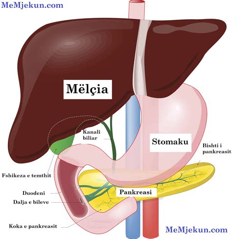 Sëmundjet E Mëlçisë Çfarë është Kolangiti Sklerotizues Primar Dhe Si