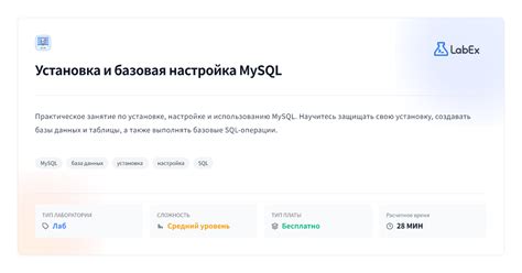 Практическое занятие по установке настройке и базовым операциям в Mysql Labex