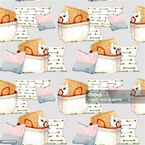 무늬 고리 버들 바구니 베개 장난감 라마 거실의 수채화 그림 인테리어 클립 아트 흰색 배경에 가정 장식 요소 0명에 대한 스톡 벡터 아트 및 기타 이미지 Istock