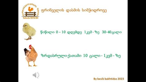 სიმჭიდროვე ფრინველში Youtube