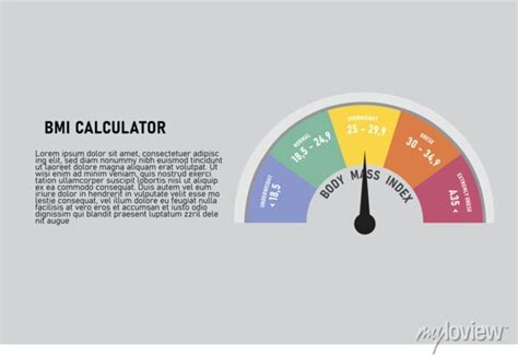 Body Mass Index Bmi Classification Chart Vector Illustration Wall