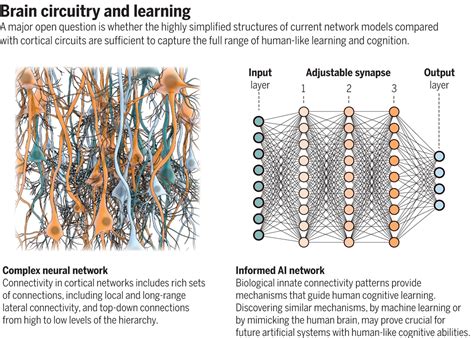 The Intersection Of Neuroscience And Ai In Mapping Brain Activity