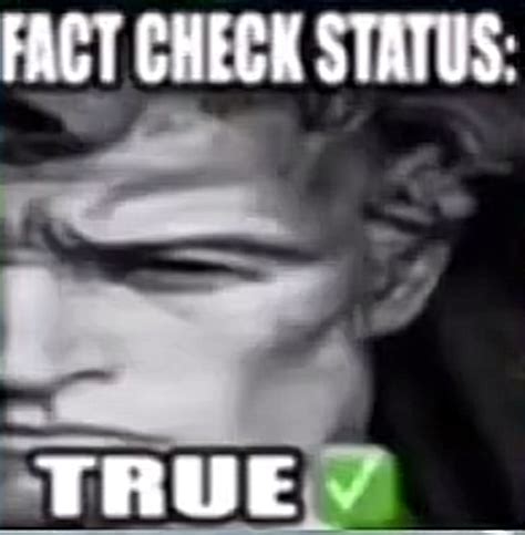 Chat With Fact Check Statustrue Action Comedy