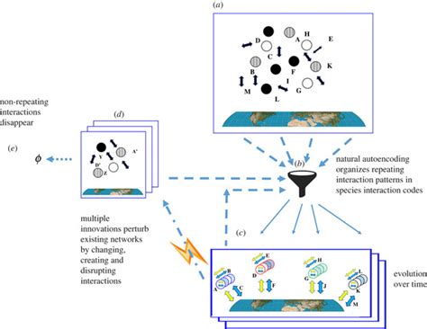 Evolution Is Driven By Natural Autoencoding Reframing Species Interaction Codes Cooperation