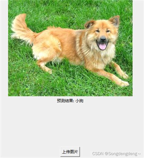 【intel校企合作课程】resnet18实现猫狗大战（猫狗识别）猫狗大战 Resnet Csdn博客