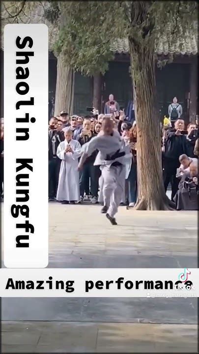 Shaolin Kungfu performance - YouTube