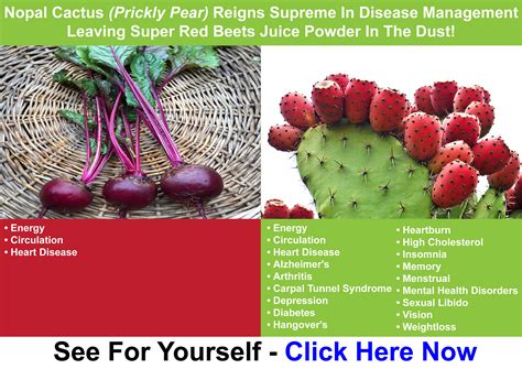 Nopal Powder Capsules Versus Super Red Beets Disease Comparison