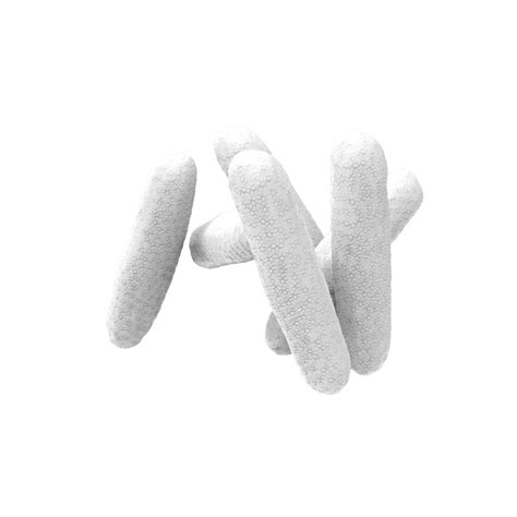 Cyanobacteria Synechococcus Extreme Tour