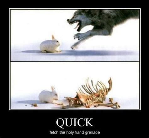 48 Best Monty Python Ministry Of Silly Pins Images On Pinterest Ha Ha Monty Python And Funny