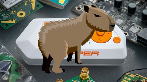 Olvídate De Flipper Zero Llega Capybarazero El Tamagotchi Para Hackers Que Puedes Montar Tú Mismo
