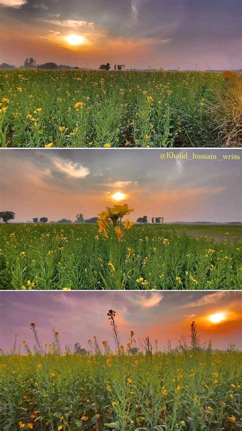 Khalid Hussain Writes