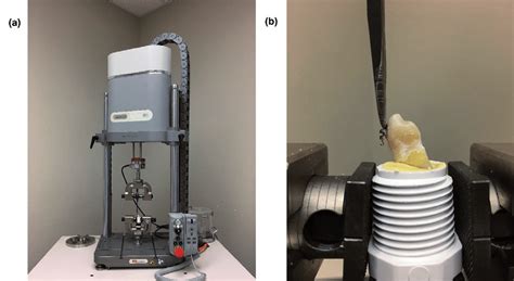 A Instron Testing Machine With Sample Held In Position B Instron Download Scientific