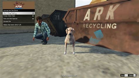 Animal Ark Shelter Gta5