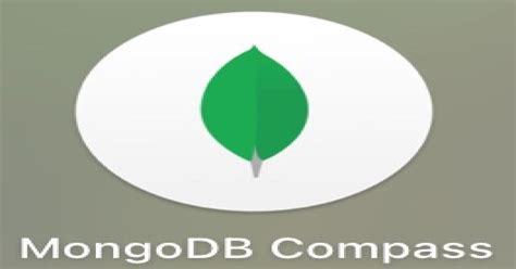 好好用的mongodb Compass