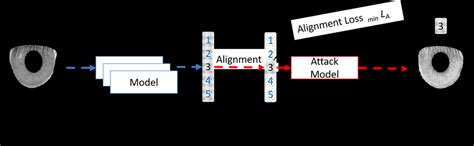 Vector Alignment Process For Srwal Method Of Incorporating Multiple Download Scientific Diagram