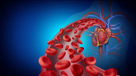 39 Facts About Circulation