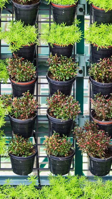 Bust Of Illegal Sex Racket In Ranchi 10 Women Detained From Private